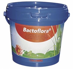 Uw vijverwater onderhouden? | Anti draadalg | Uw vijver in evenwicht