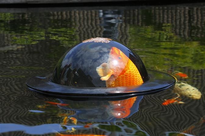 Floating Fish Dome 56 x 24 cm Vijverbenodigdheden
