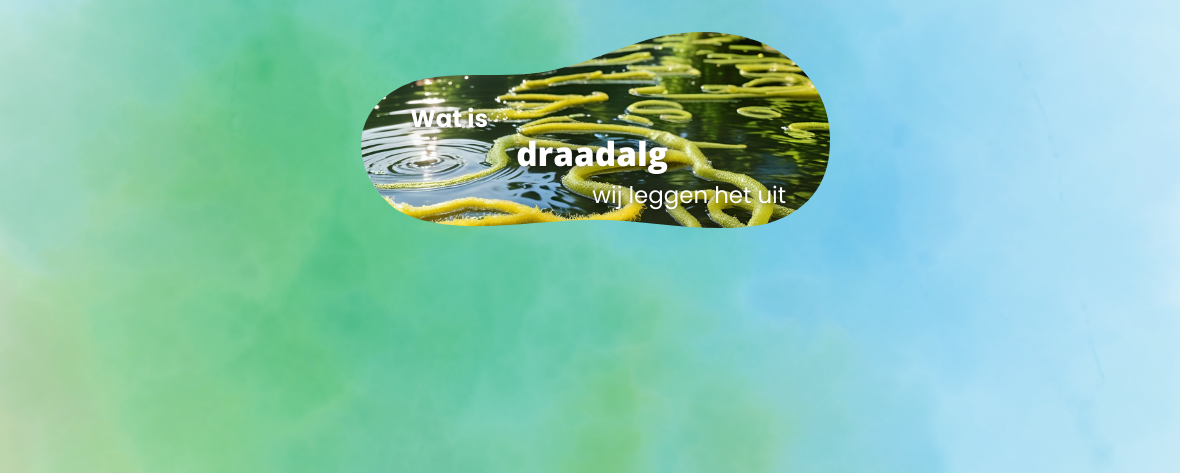 Wat is draadalg? | Vijverbenodigdheden.nl